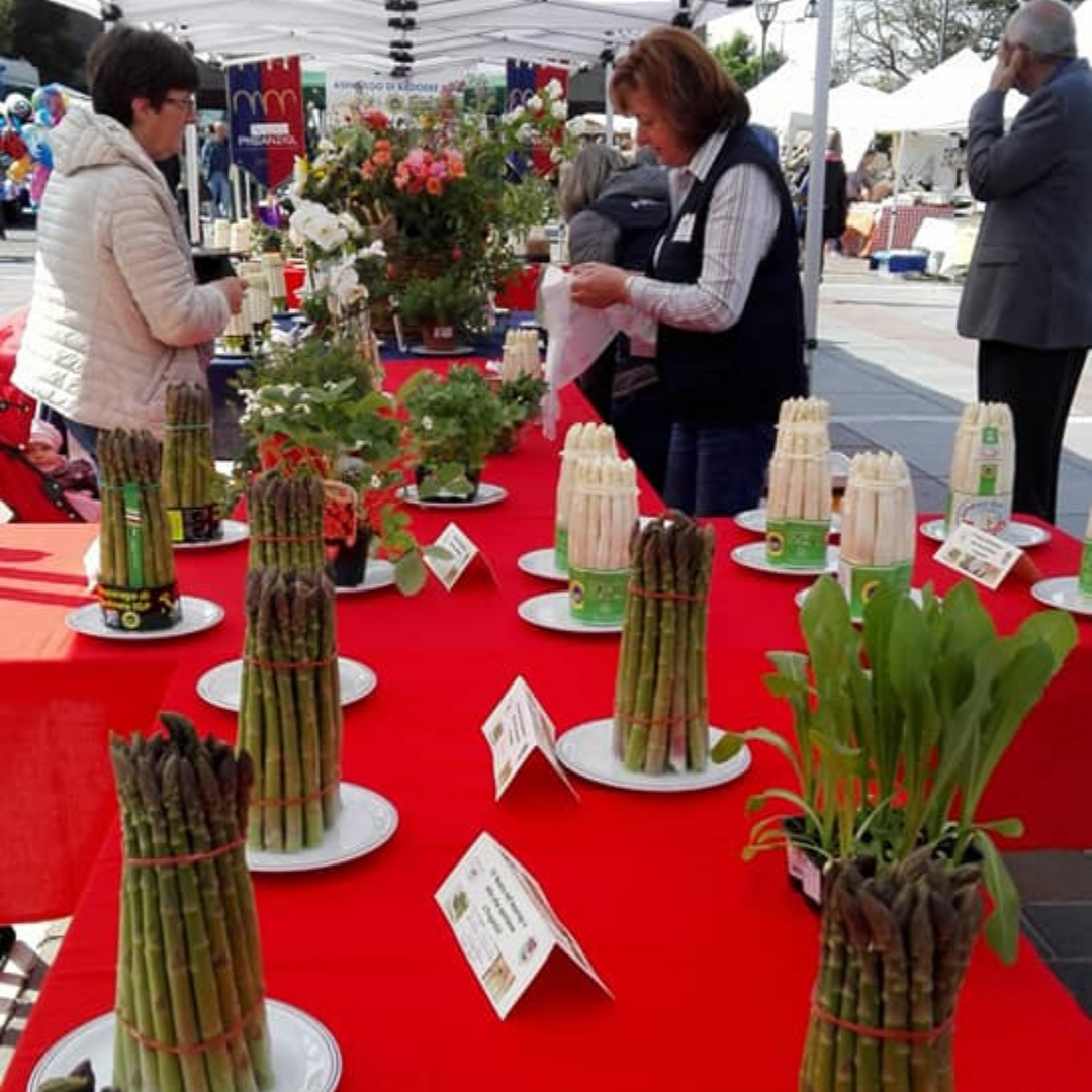 pro loco preganziol (5) - Germogli di Primavera