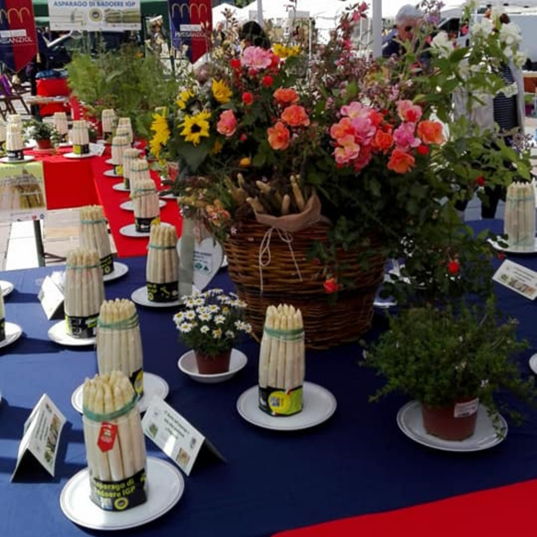 pro loco preganziol (6) - Germogli di Primavera